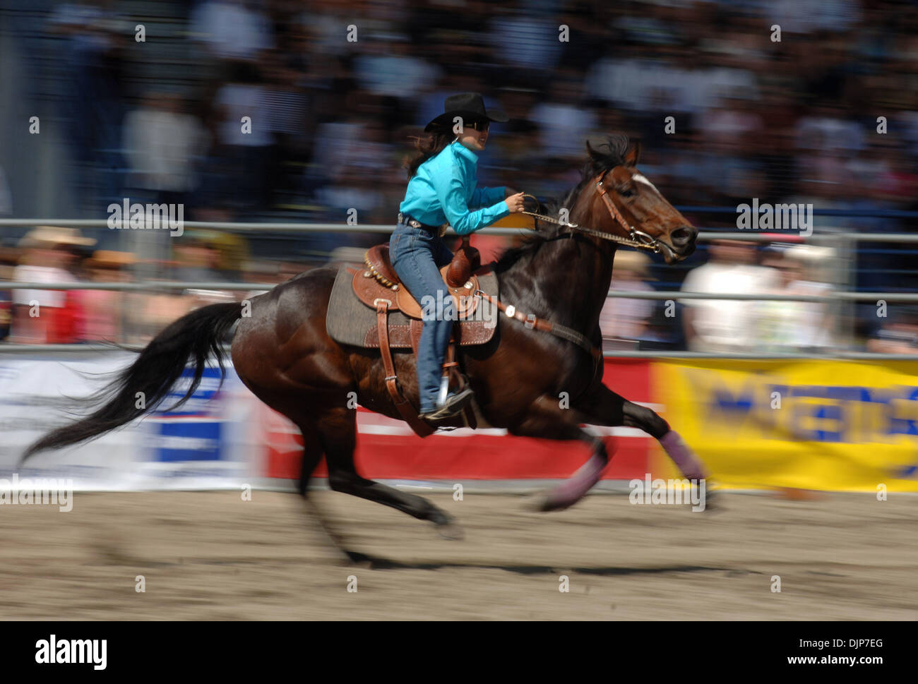 May 18, 2008 - Cloverdale, British Columbia, Canada - Cowboy competes ...