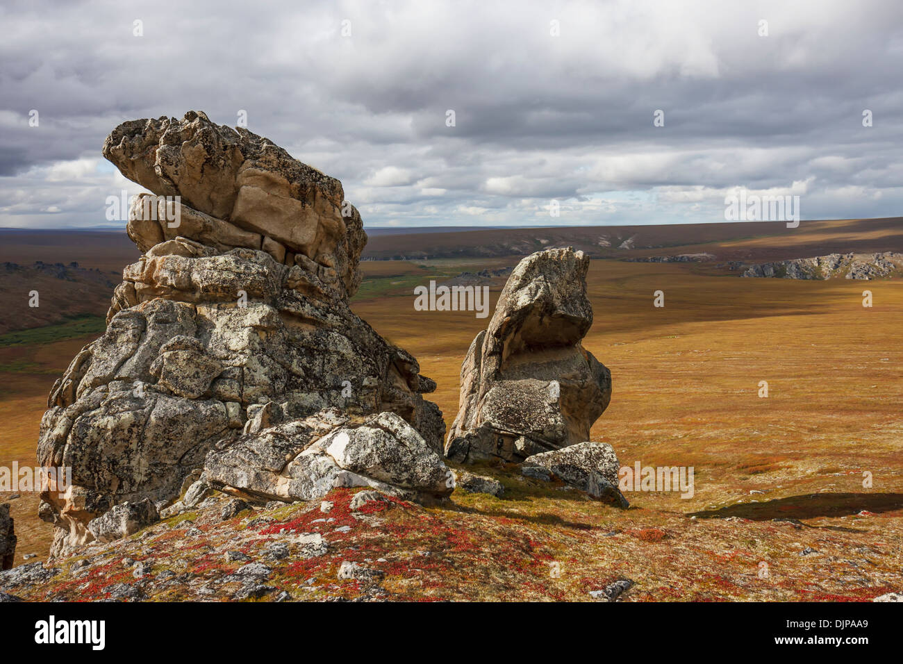 Rock Formation Known As A Granite Tor On The Tundra Near Serpentine Hot ...