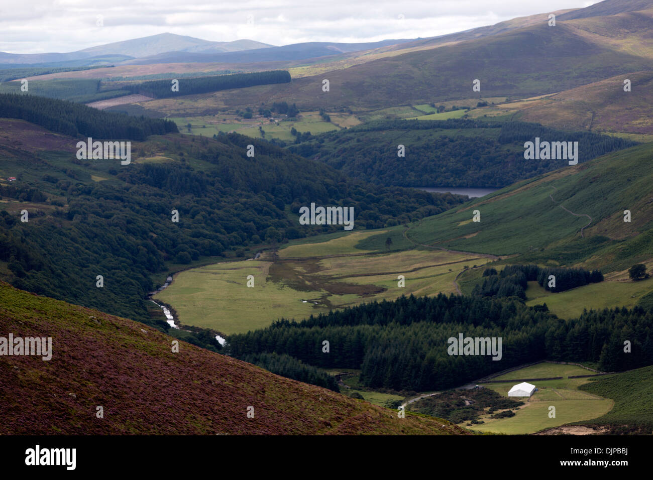 Wicklow Mountains National Park, Ireland. The park is located in the ...