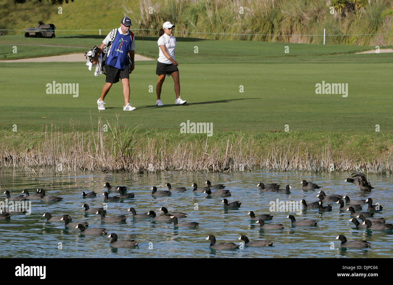 3 Coots High Resolution Stock Photography and Images - Alamy