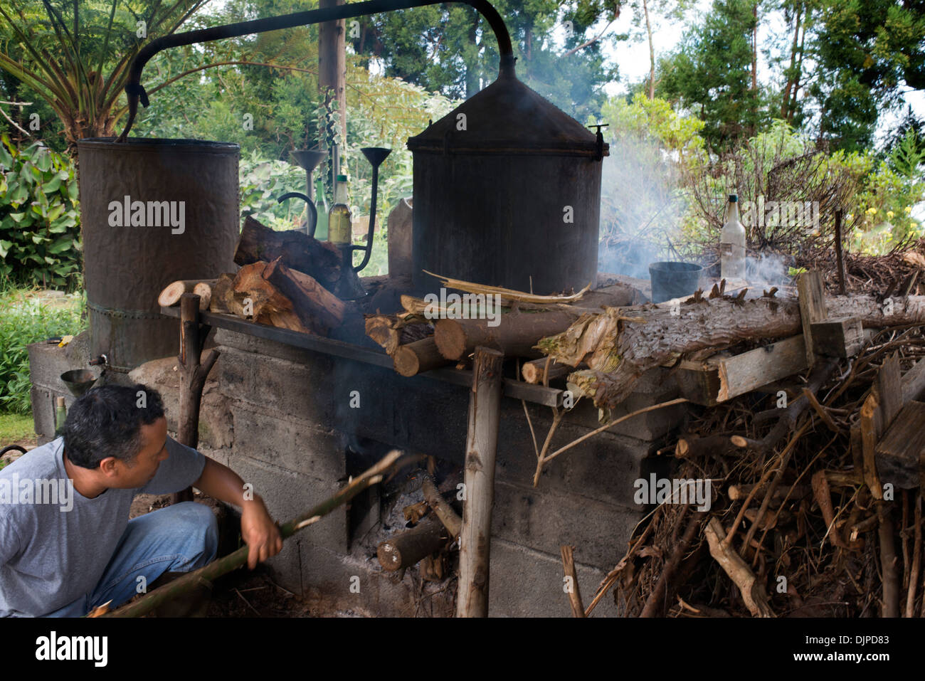 Perfume distillery in the small town of Petit France. Chez Isabel ...