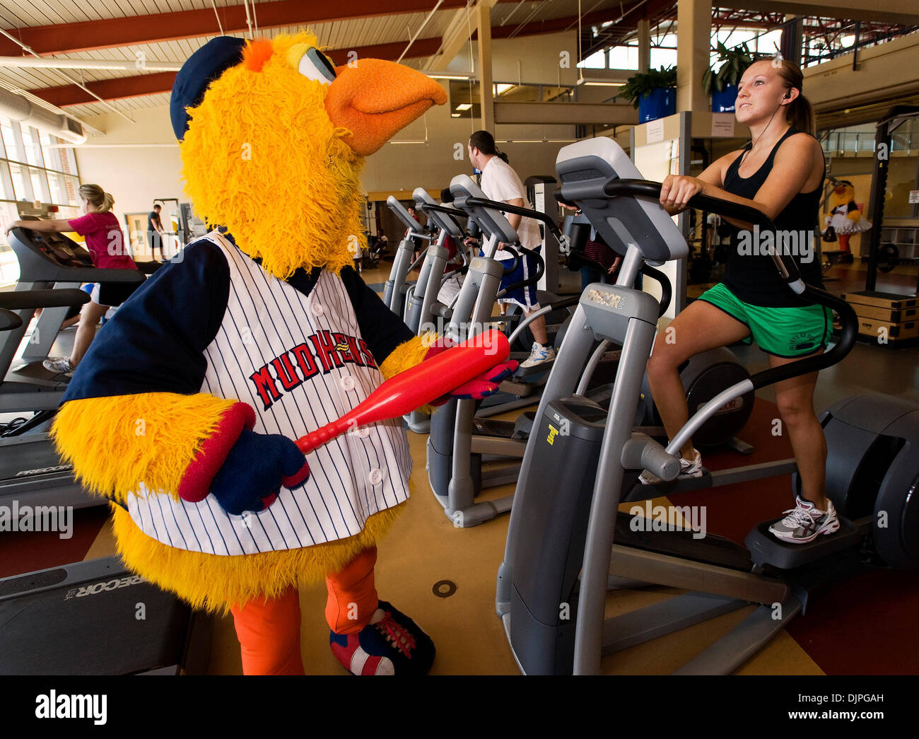 University of toledo mascot hi-res stock photography and images - Alamy