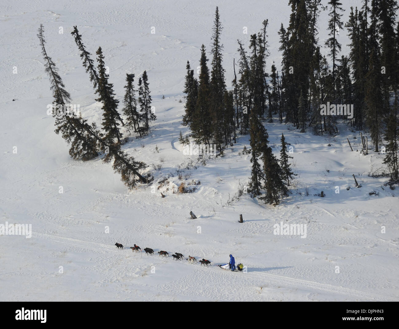 Mar 09, 2010 - Nikolai, Alaska, USA - JOHN BAKER is the third musher ...