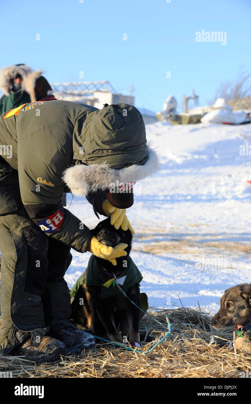 Alaska iditarod jeff king musher hi-res stock photography and images ...