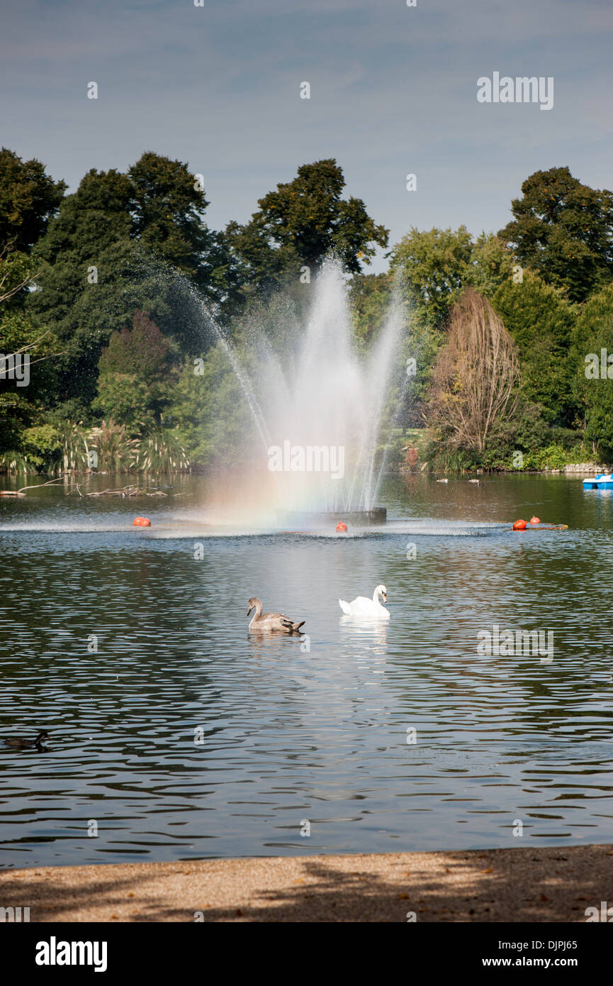 Victoria park hackney autumn hi-res stock photography and images - Alamy