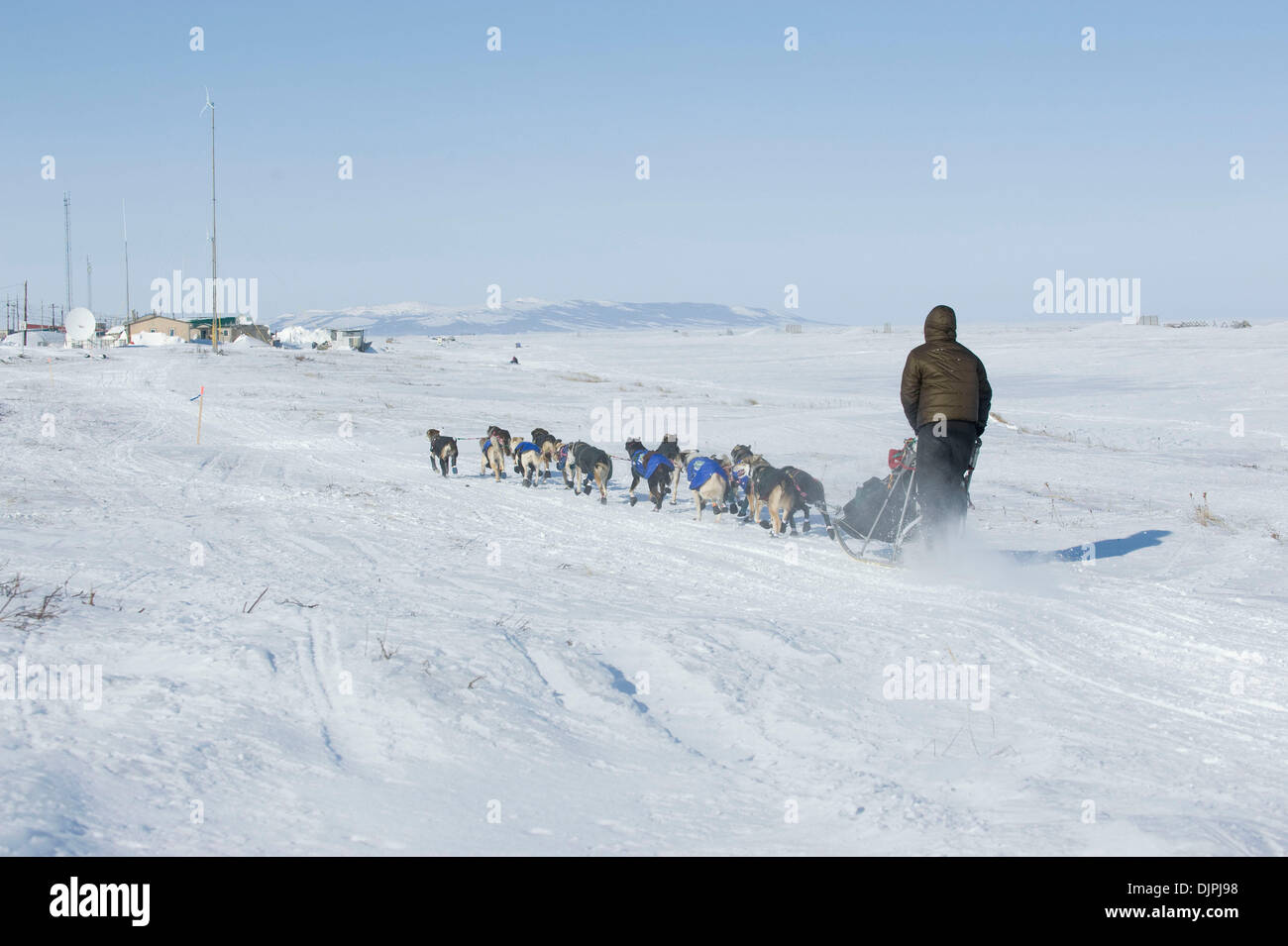 Mar 15, 2010 - Shaktoolik, Alaska, USA - Iditarod musher rookie DAN ...