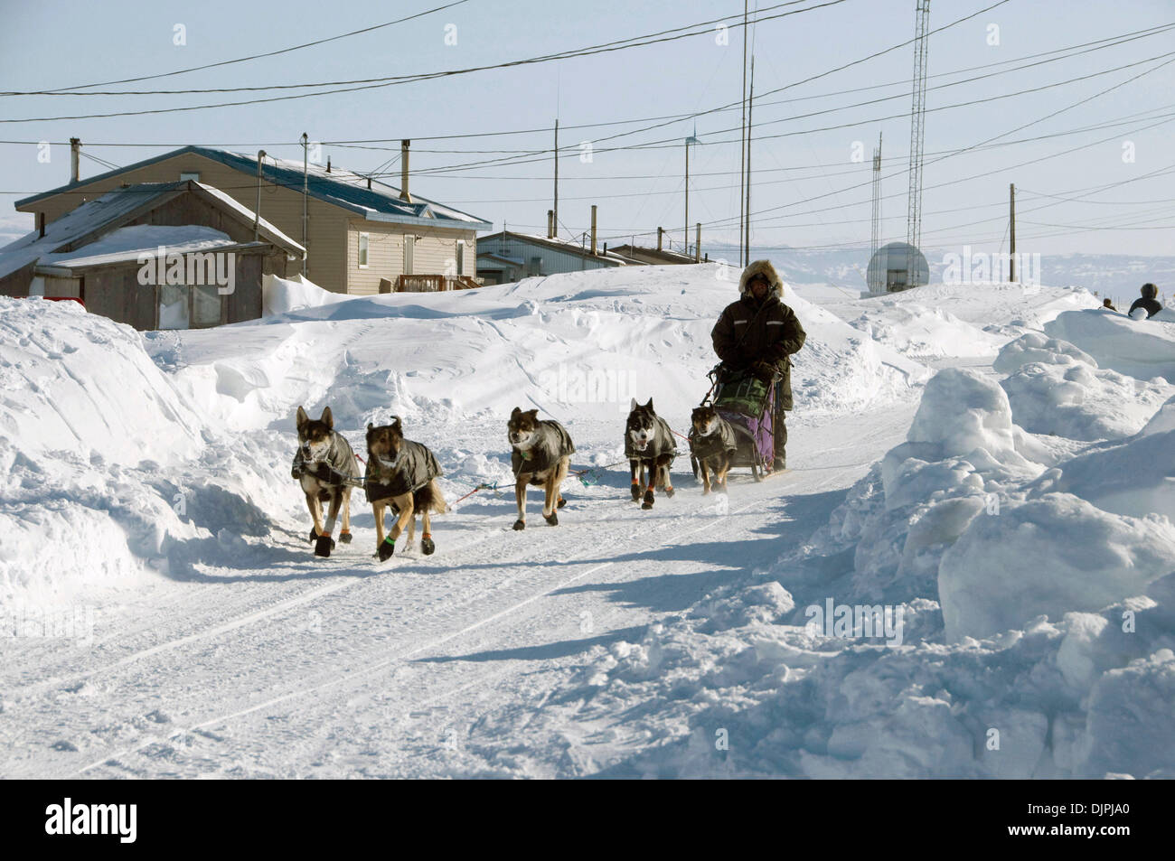 Mar 15, 2010 - Shaktoolik, Alaska, USA - Iditarod rookie musher Dan ...