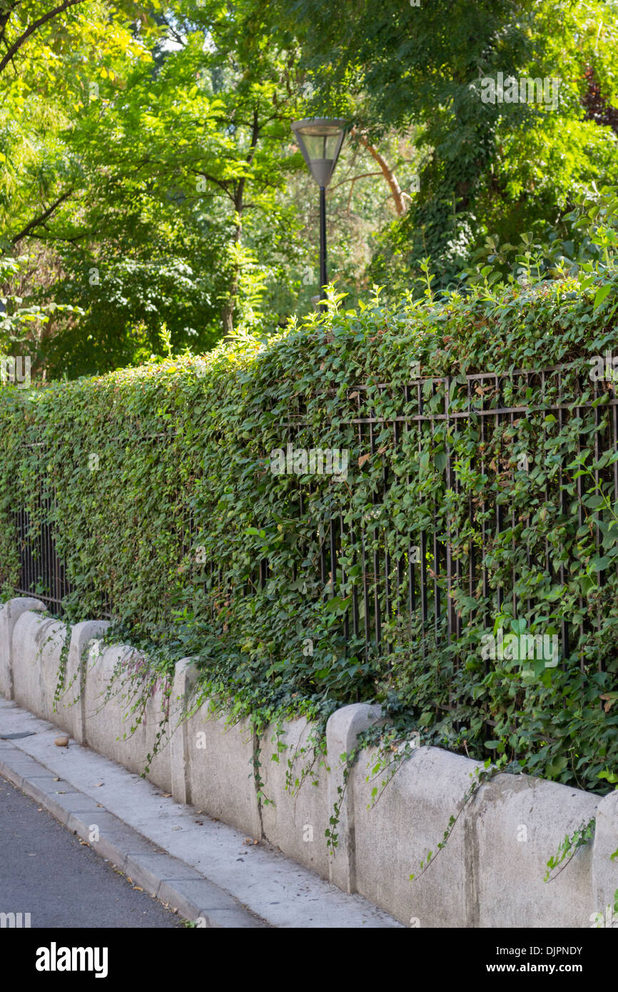 Fence covered by vegetation Stock Photo - Alamy