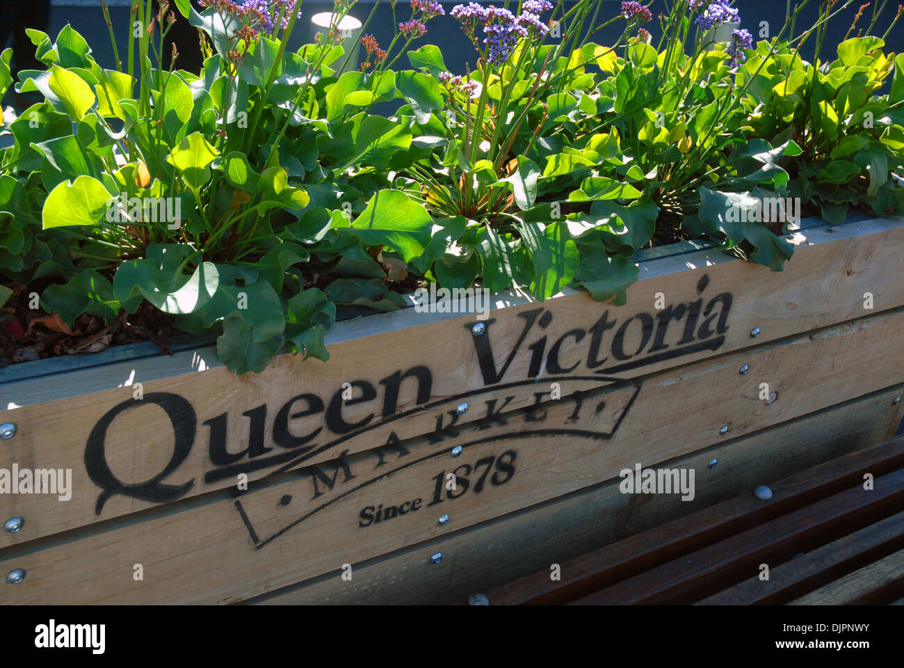The Largest Open Air Market In The Southern Hemisphere Queen Victoria the-largest-open-air-market-in-the-southern-hemisphere-queen-victoria