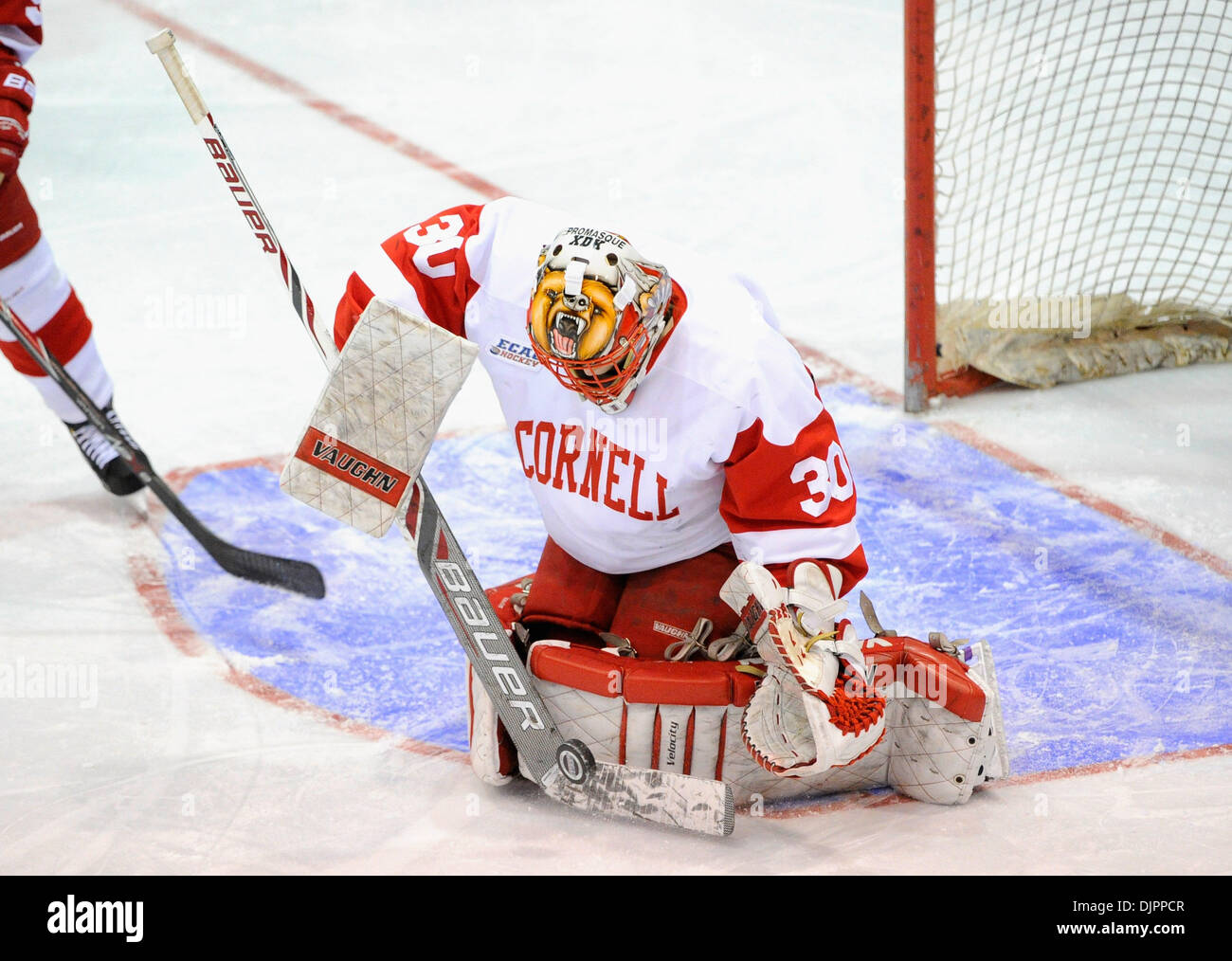 Ithaca, New York, USA. 29th Nov, 2013. November 29, 2013: Cornell Big ...