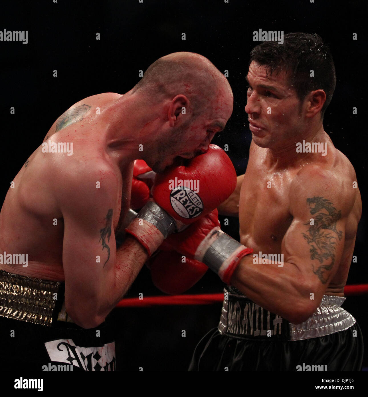 Sergio martinez kelly pavlik hi-res stock photography and images - Alamy