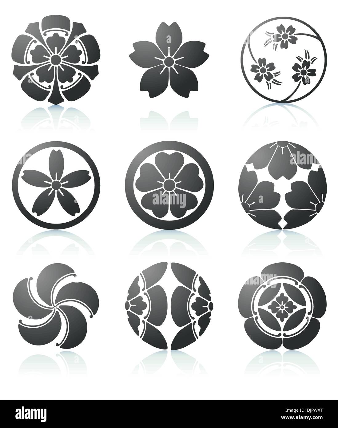 Vector illustration set of abstract Sakura graphic elements in japanese ...