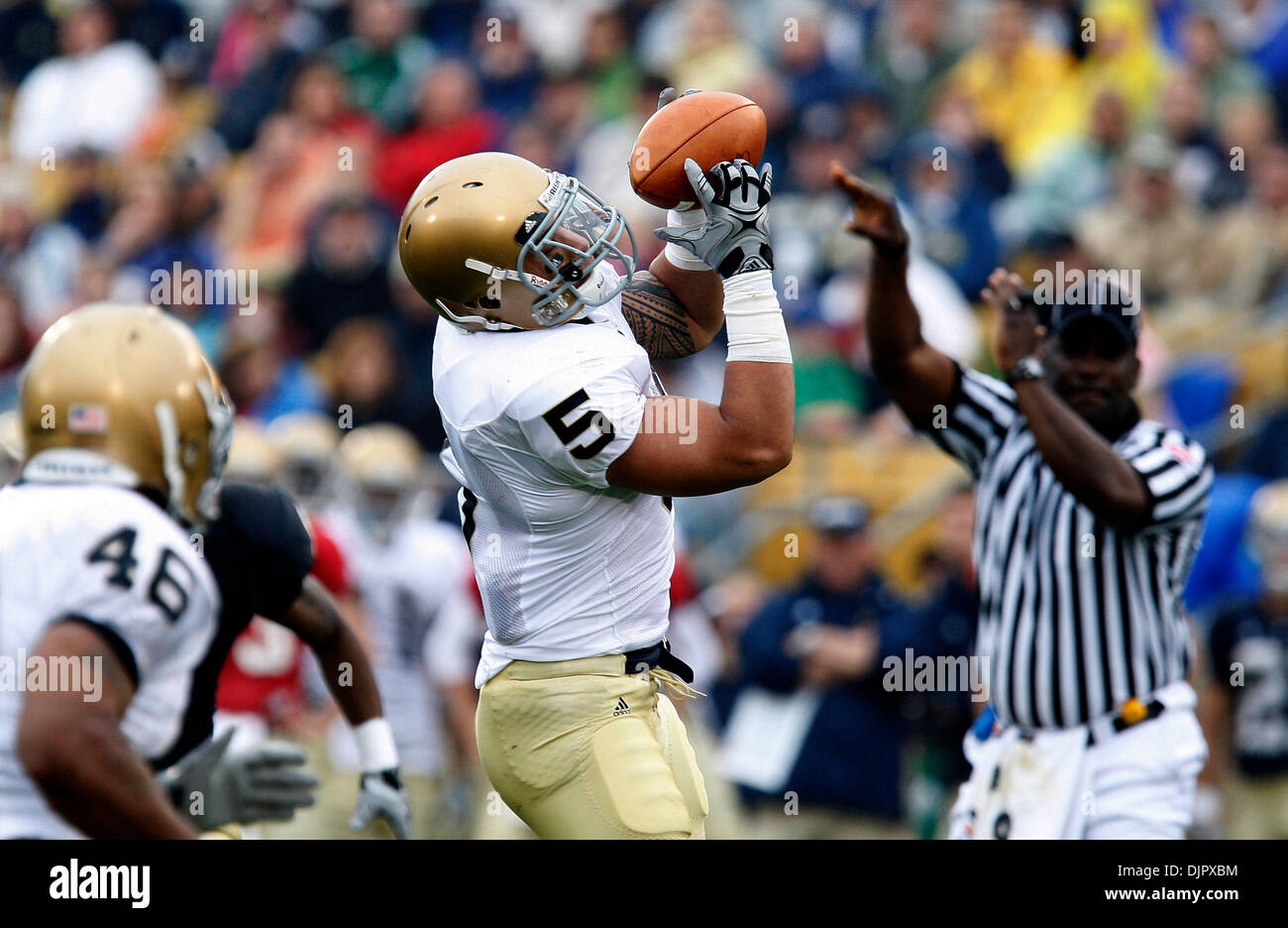 Notre dame blue gold game hi-res stock photography and images - Alamy