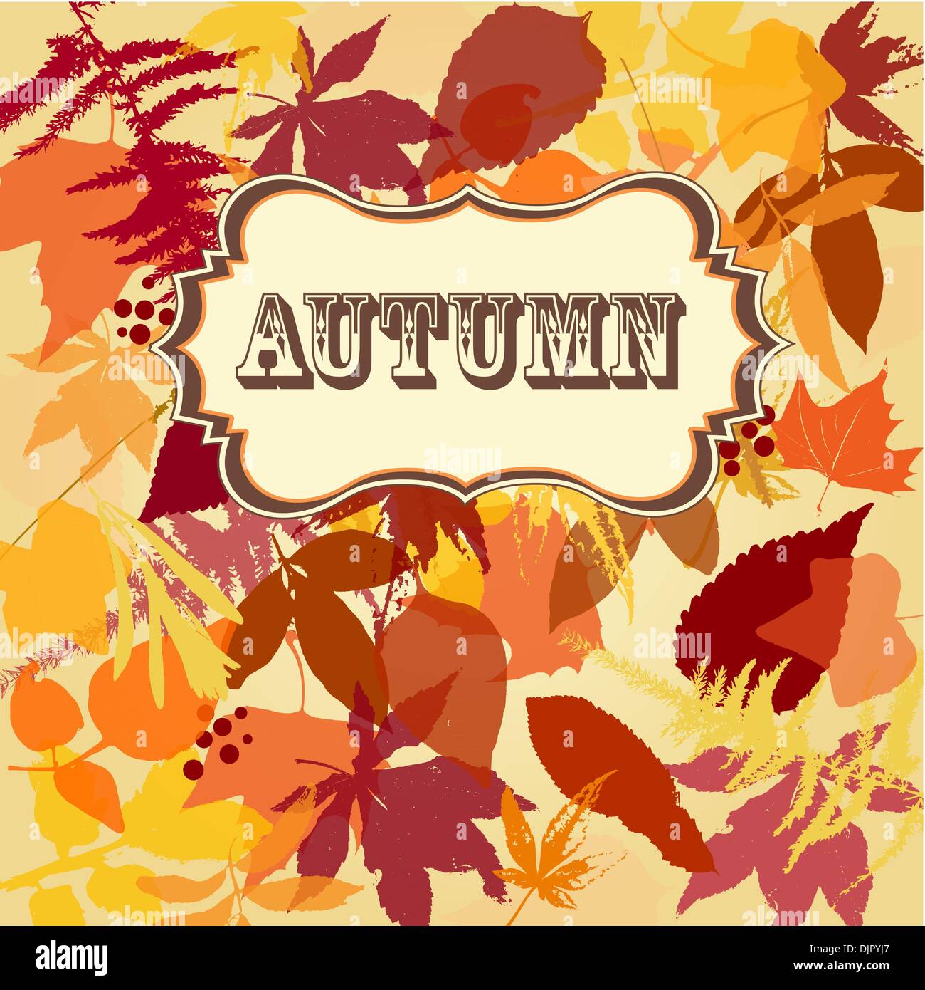 Autumn leaves white poplar Stock Vector Images - Alamy