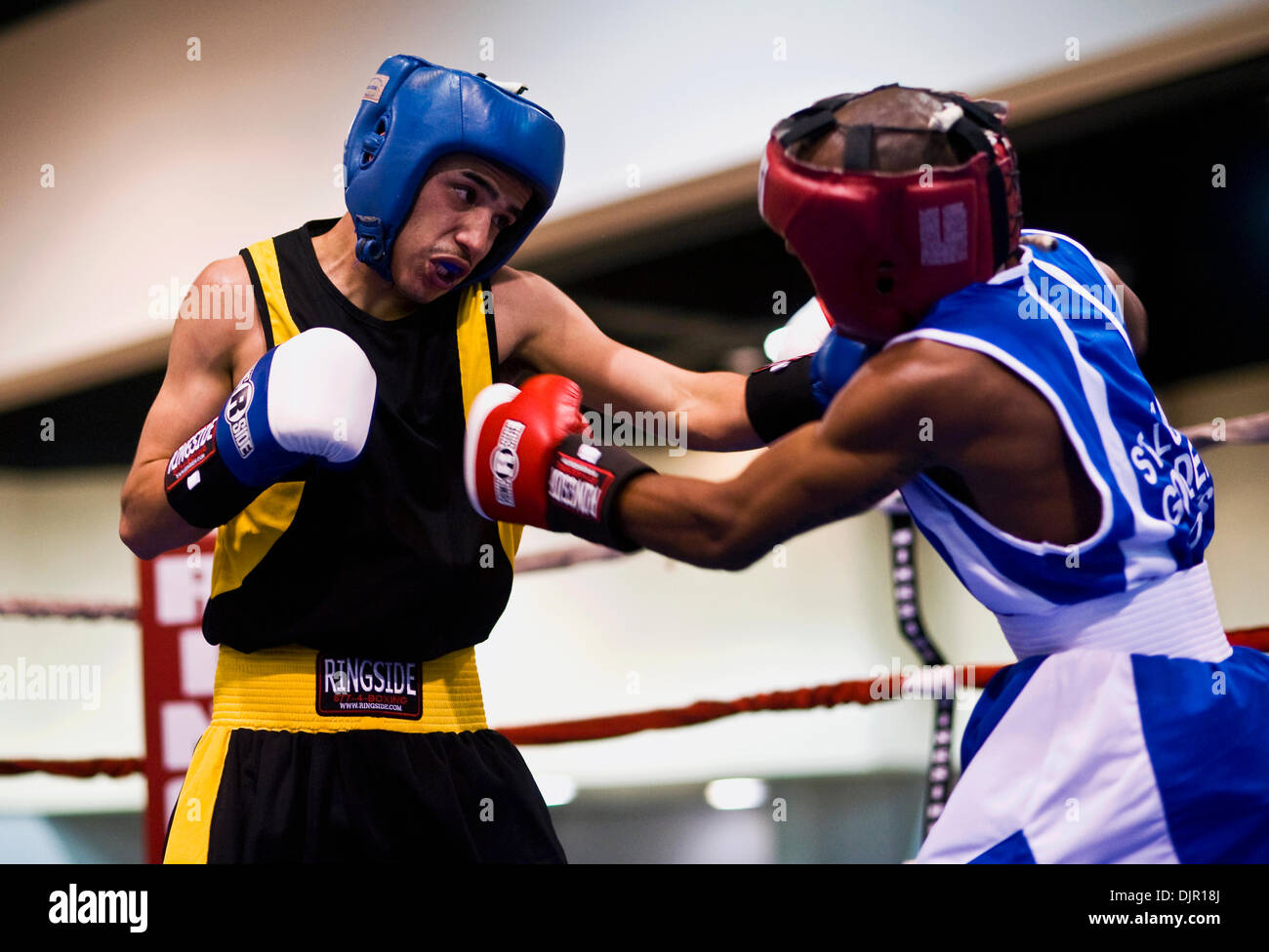 Dwayne bravo hi-res stock photography and images - Alamy