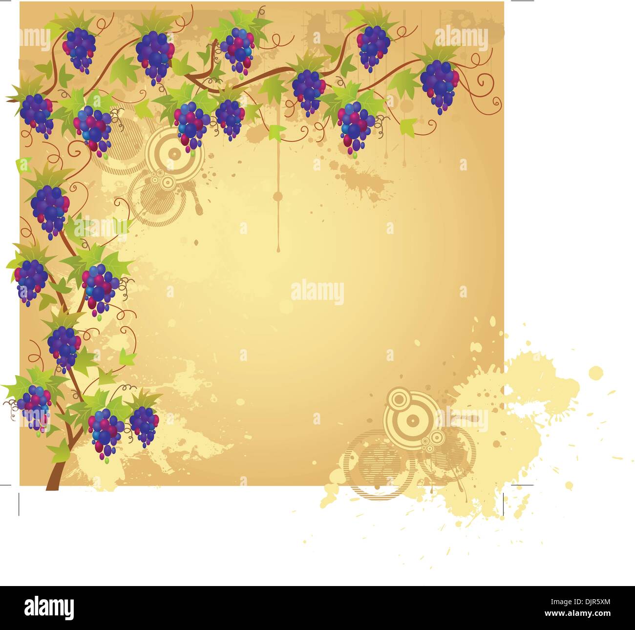 Decorative border grapes Stock Vector Images - Alamy