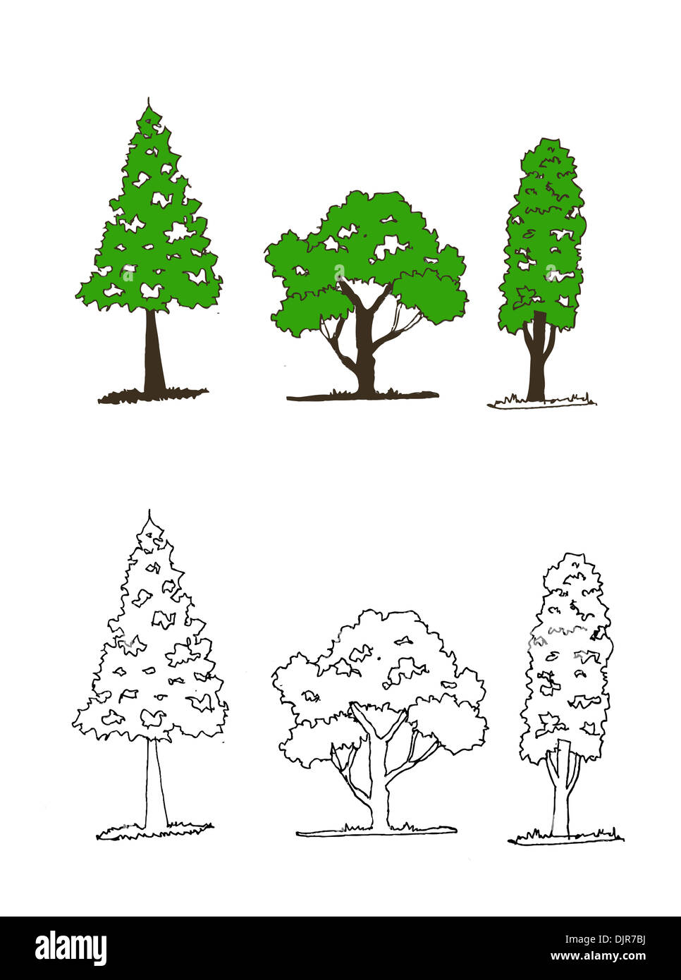 Set of trees with leaves Stock Photo - Alamy