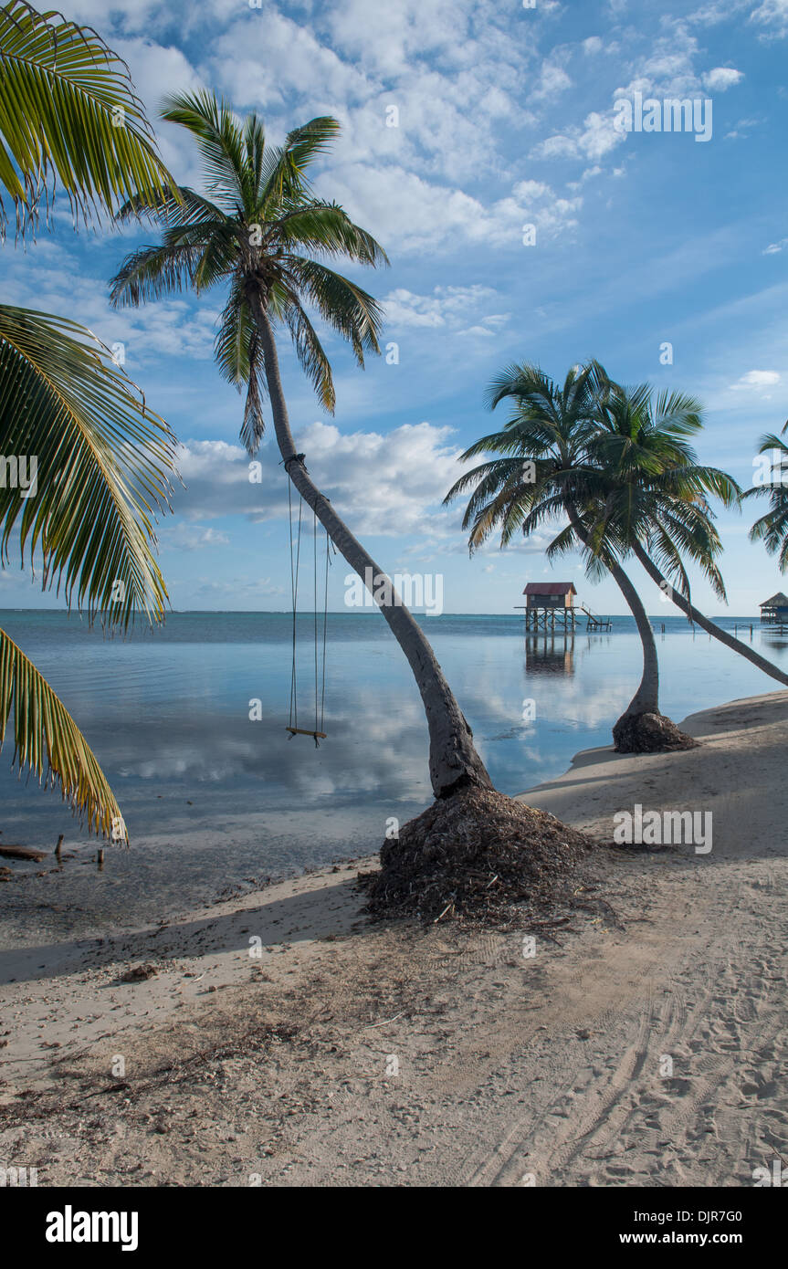 Palm tree swing hi-res stock photography and images - Alamy