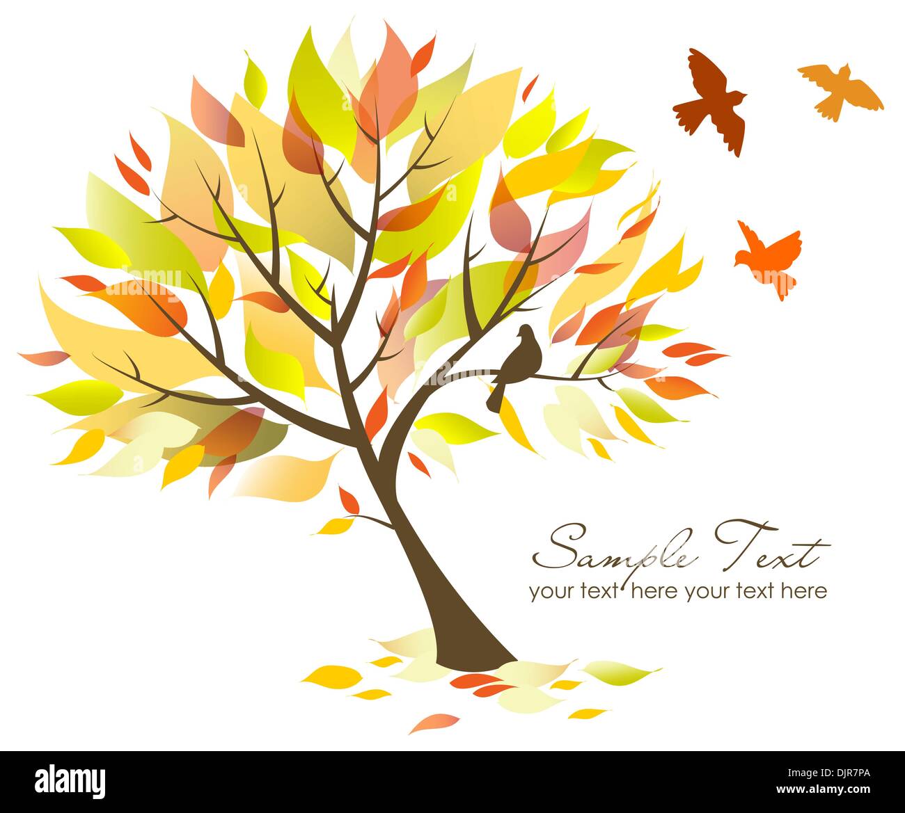 Spring woodland bird Stock Vector Images - Alamy