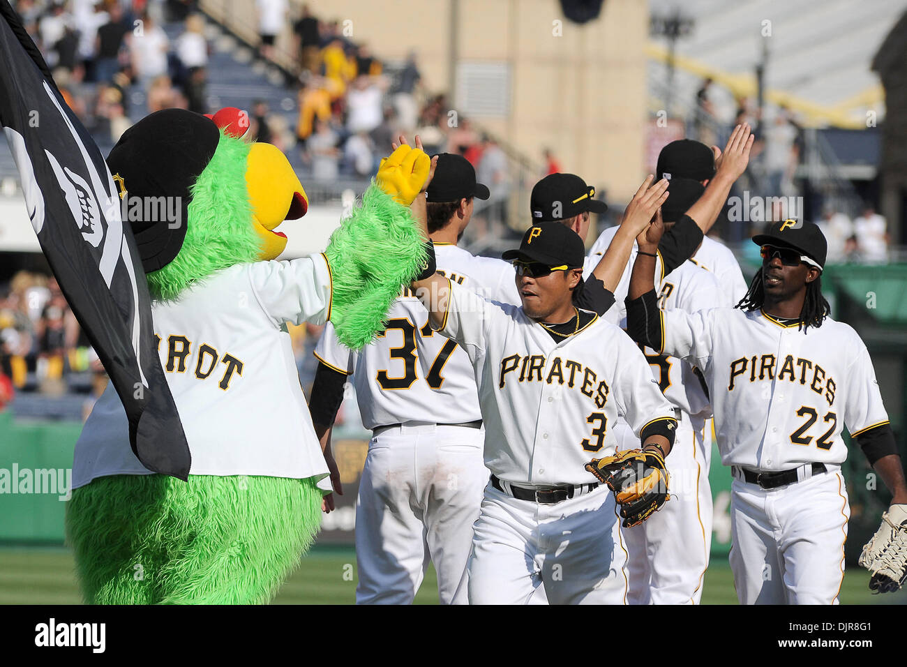Pittsburgh pirate parrot hi-res stock photography and images - Alamy
