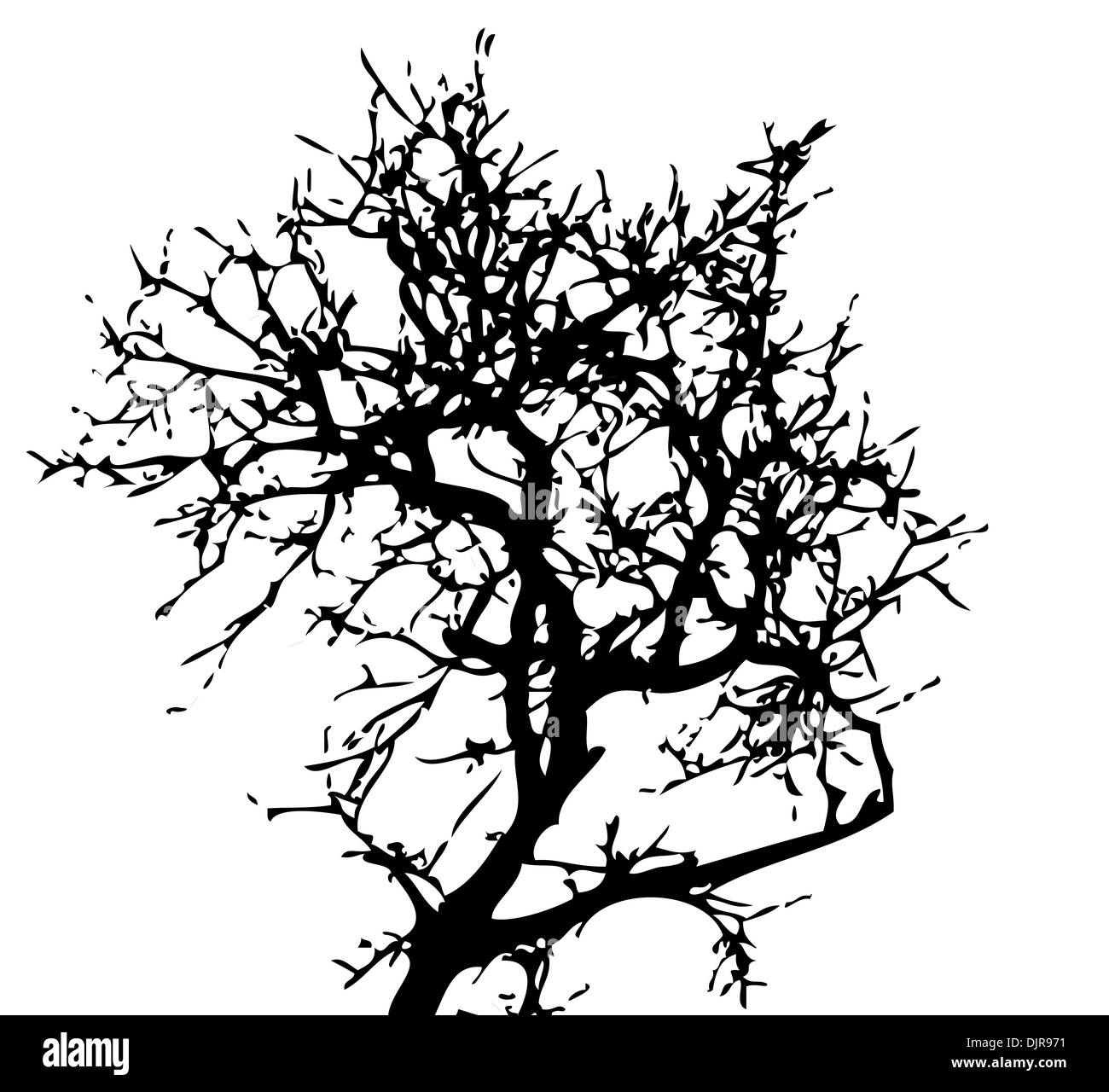 abstract tree , tree, tree silhouette, abstract leaf, tree vector ...