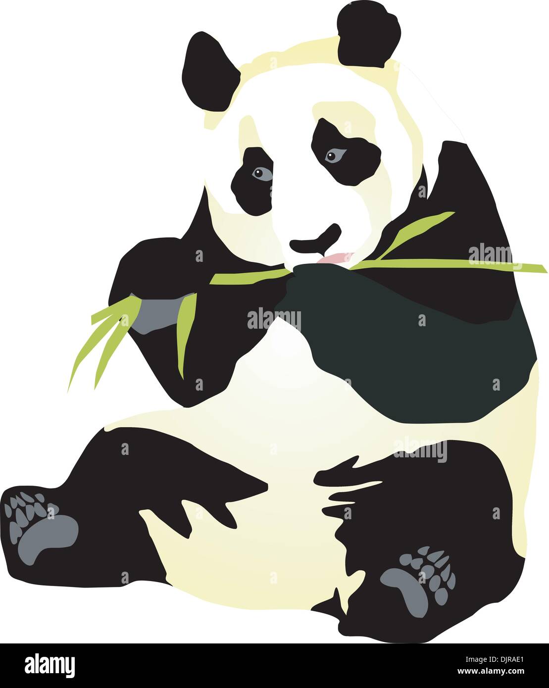 Chinese giant panda Stock Vector Images - Alamy