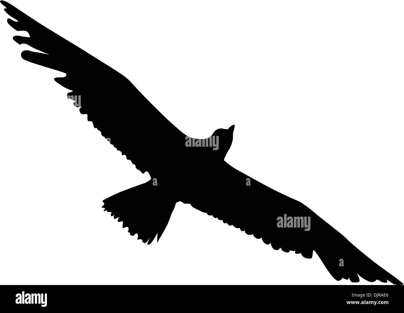 Silhouette kontur kontur Stock Vector Images - Alamy