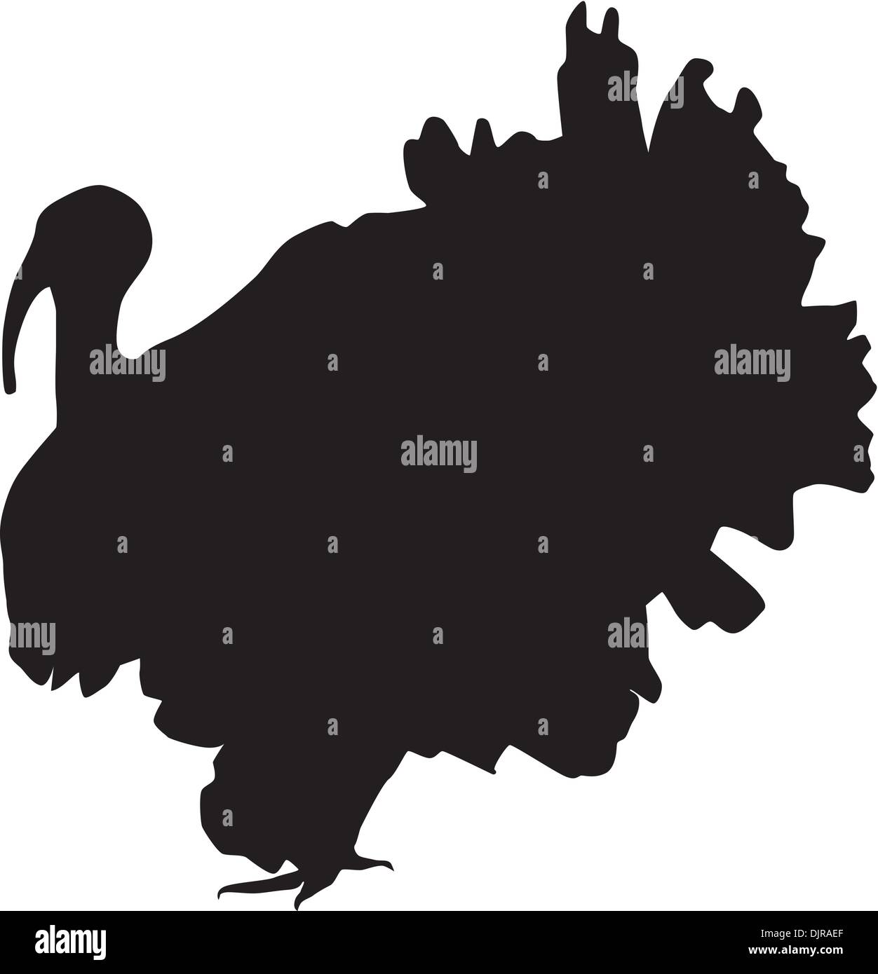 Turkey bird on black Stock Vector Images - Alamy