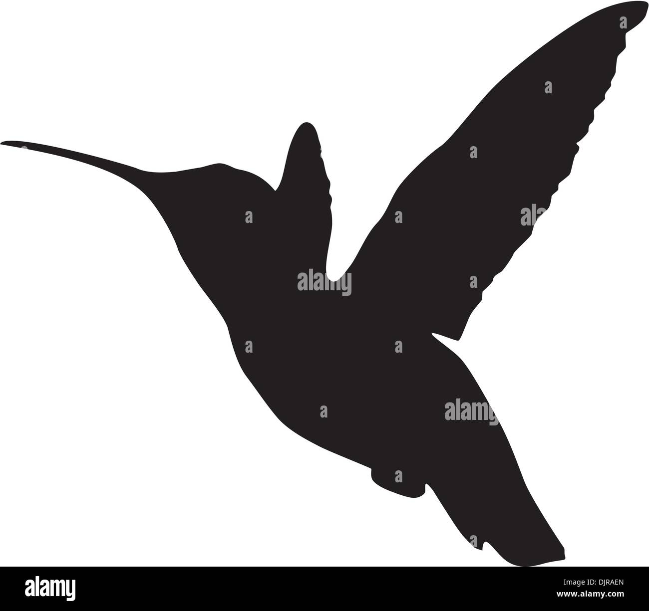 Hummingbird Stock Vector Images - Alamy