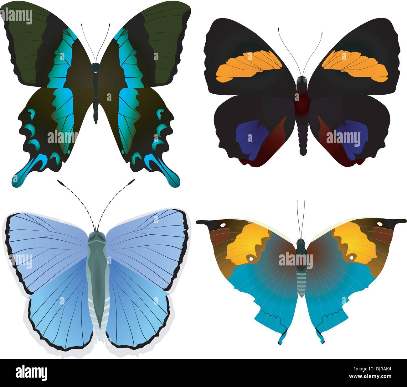 Butterflies images Stock Vector Images - Alamy