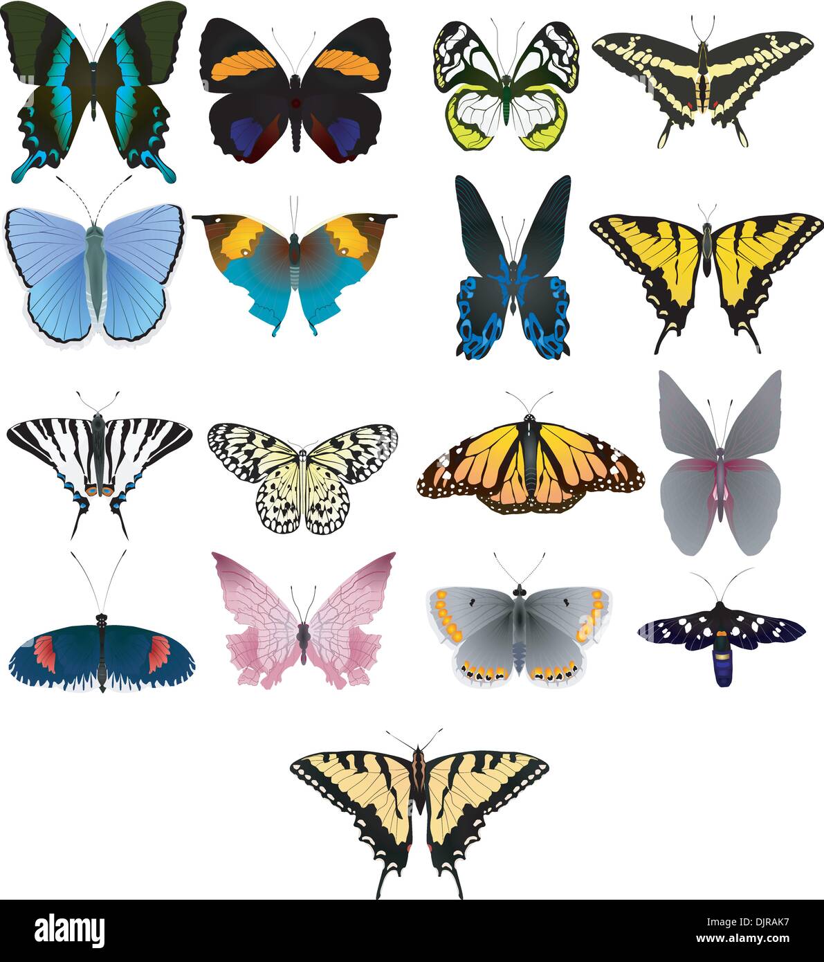 Collection of vector images of beautiful butterflies Stock Vector Image ...