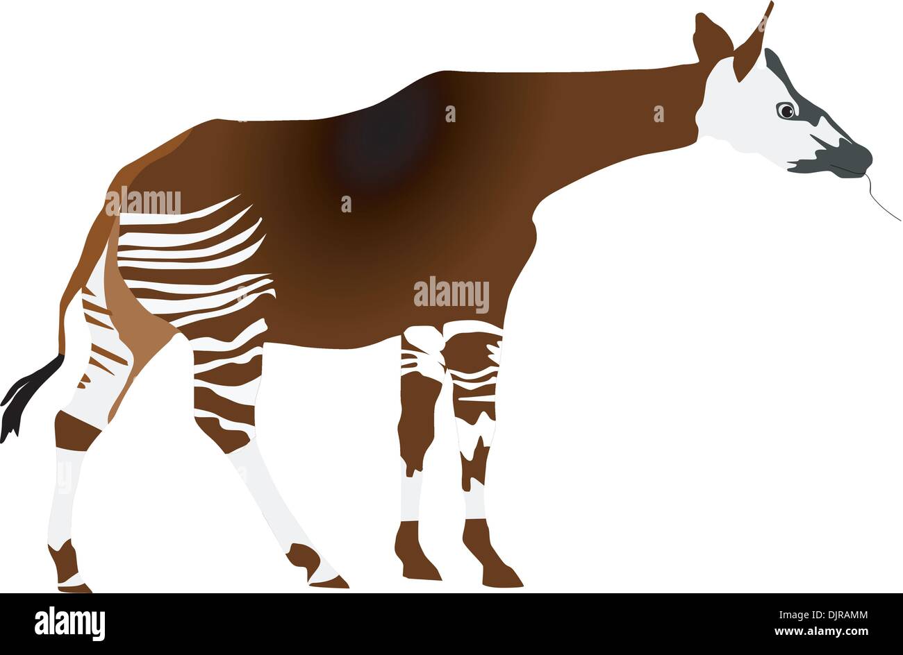 Animal okapi Stock Vector Images - Alamy