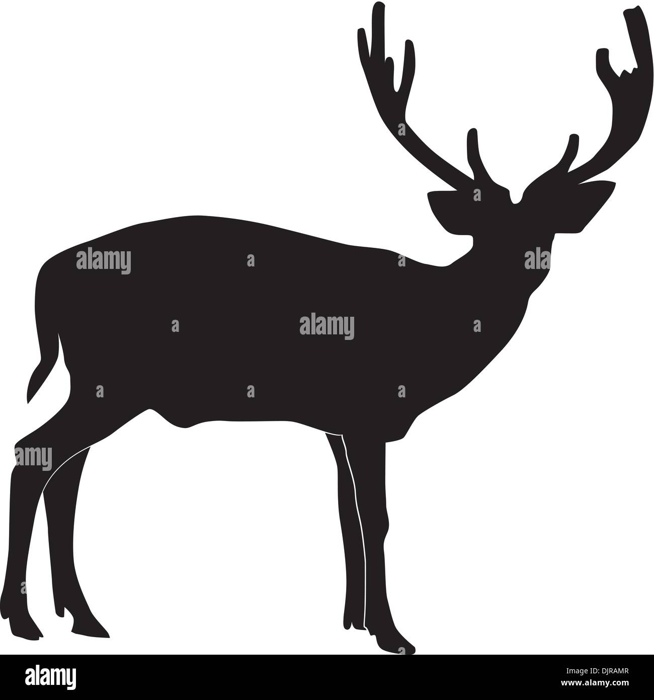 Vector illustration of deer Stock Vector Image & Art - Alamy