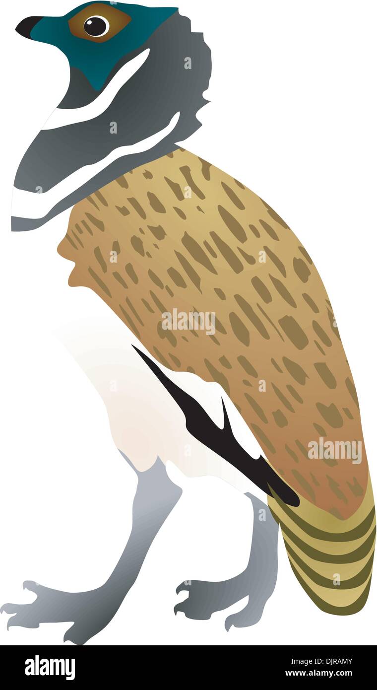 Vector illustration of bustard Stock Vector Image & Art - Alamy