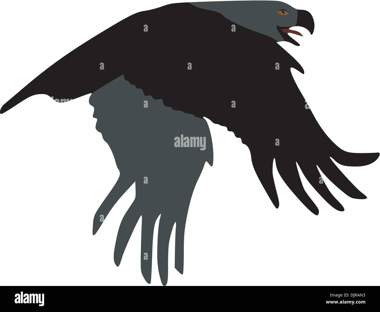 Vector image of an eagle Stock Vector Image & Art - Alamy