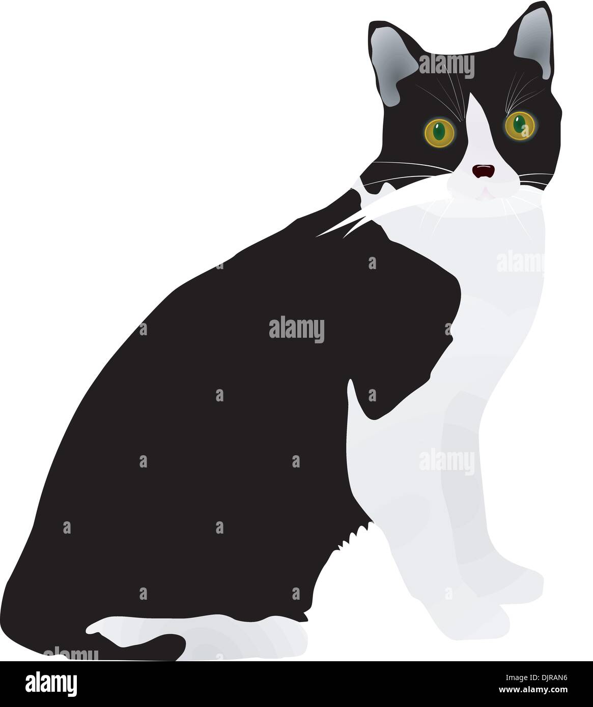 vector black cat Stock Vector Image & Art - Alamy