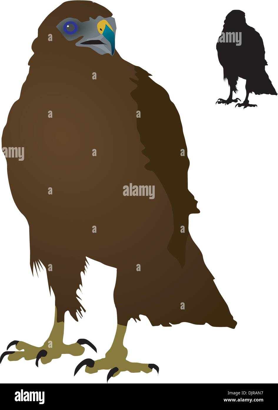 vectors Steppe Eagle Stock Vector Image & Art - Alamy