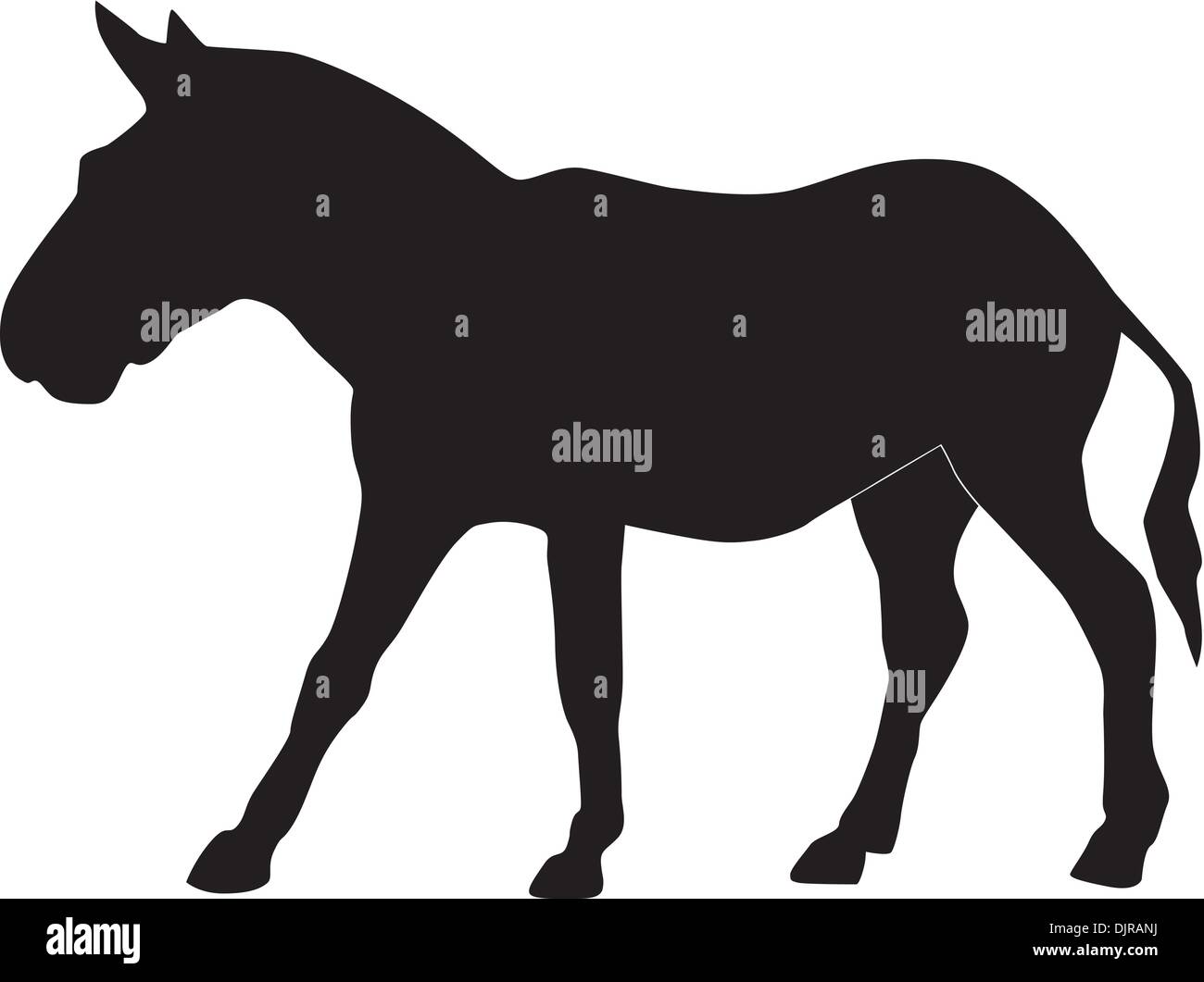 Vector illustration of a donkey Stock Vector Image & Art - Alamy