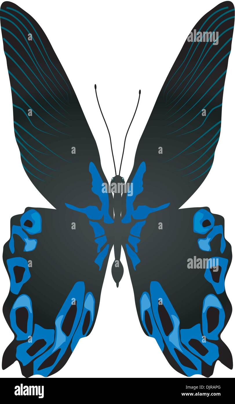 beautiful vector butterfly Stock Vector Image & Art - Alamy