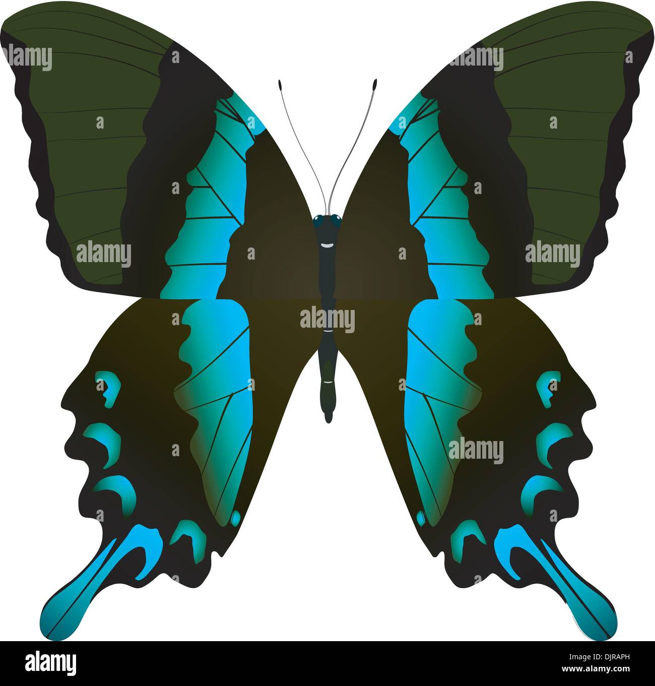 Light brown butterfly Stock Vector Images - Alamy