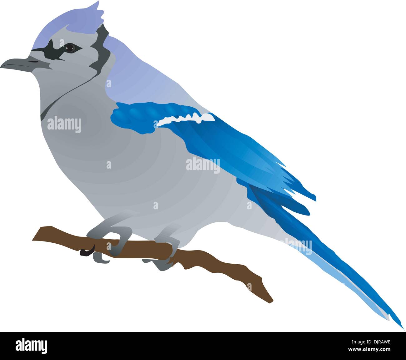 Vector illustration of blue birds Stock Vector Image & Art - Alamy