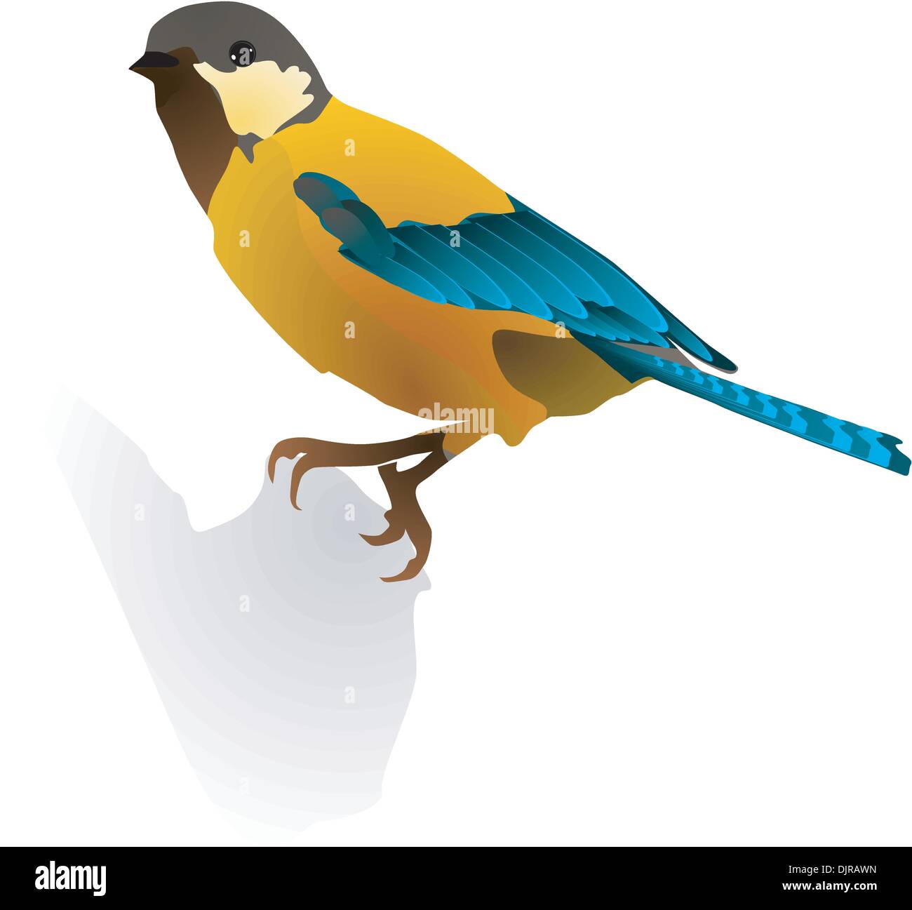 vector image of bird Stock Vector Image & Art - Alamy