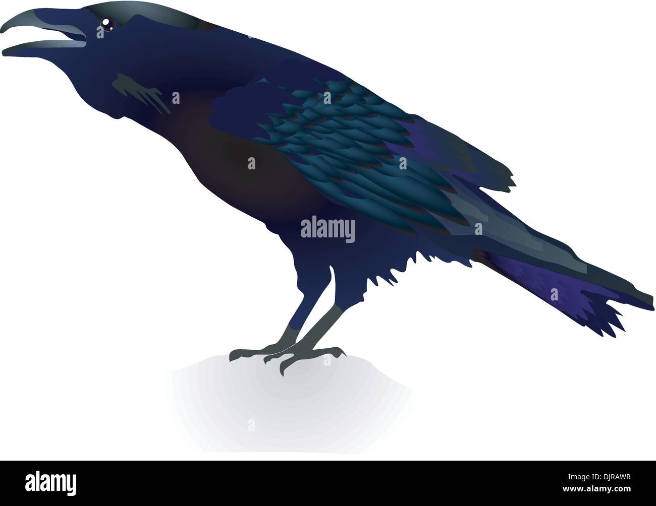 Vector illustration of a crow Stock Vector Image & Art - Alamy