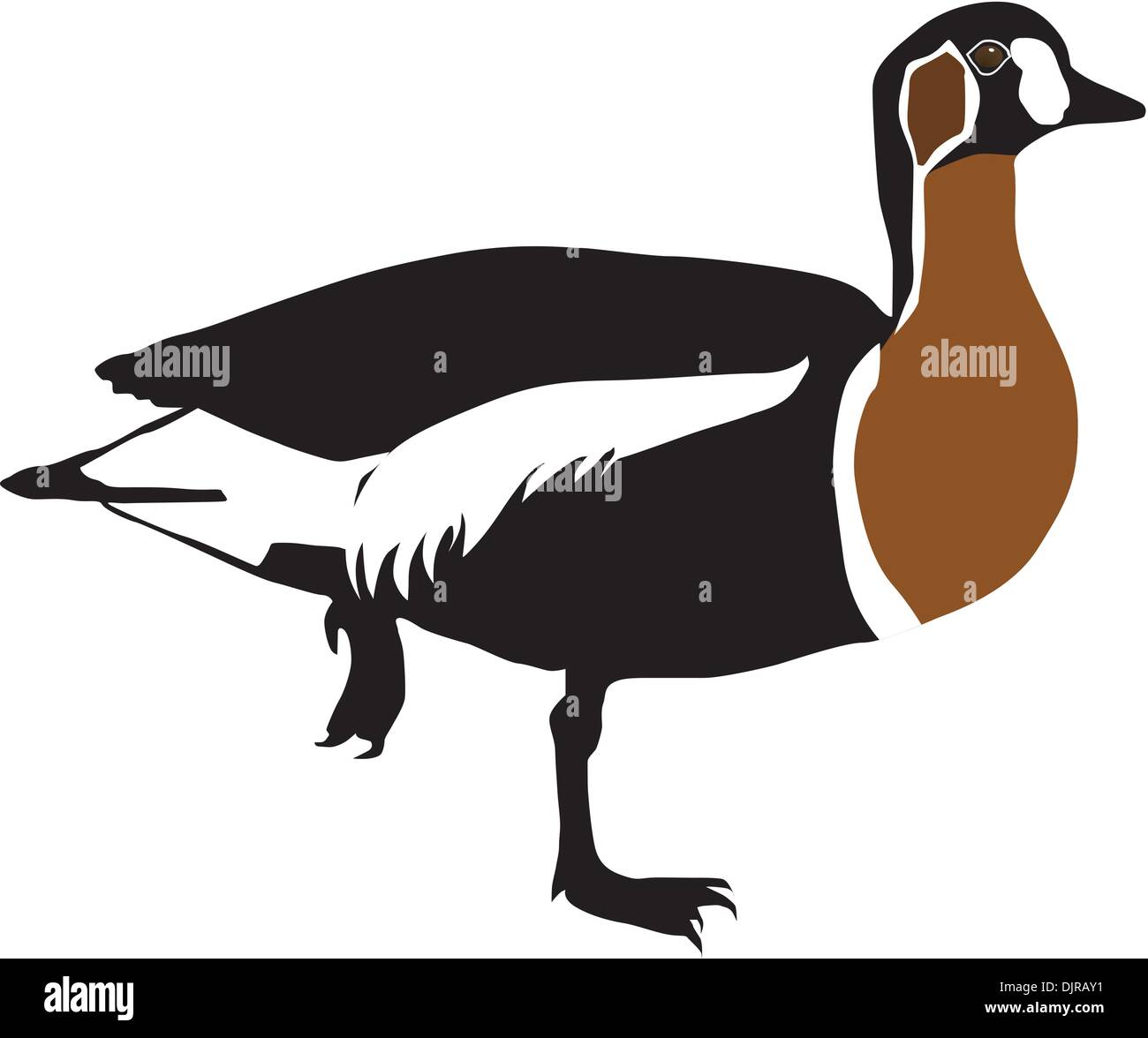 Goose lake Stock Vector Images - Alamy