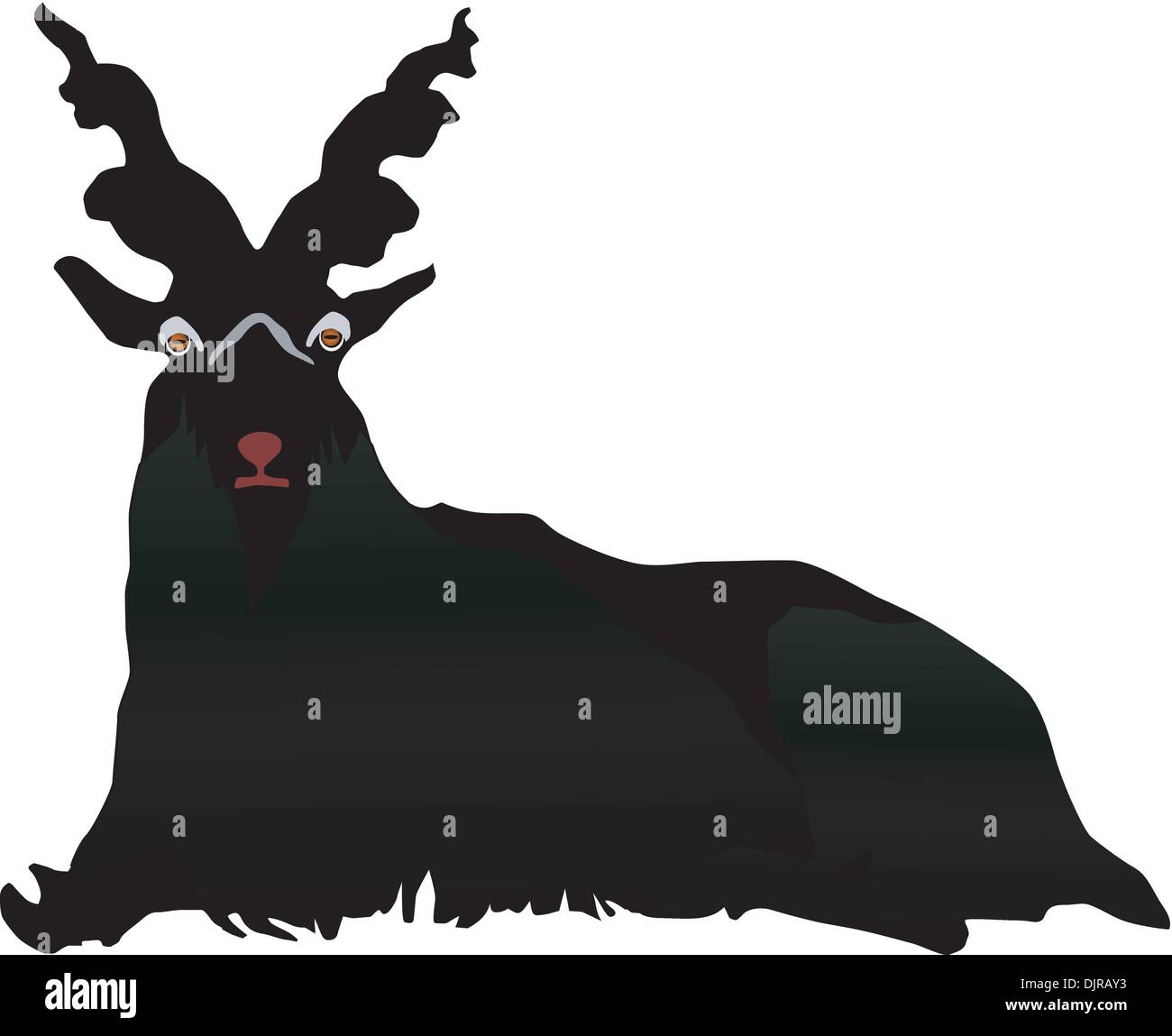 Markhor drawing hi-res stock photography and images - Alamy