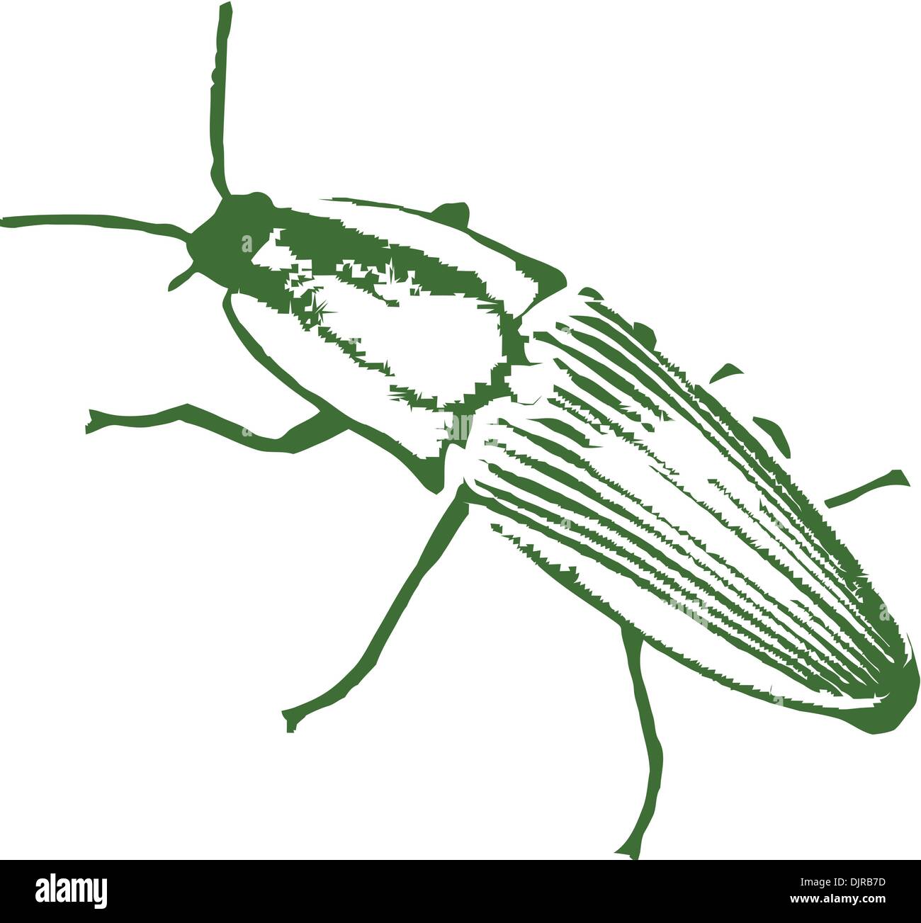 Vector image of a beetle Stock Vector Image & Art - Alamy