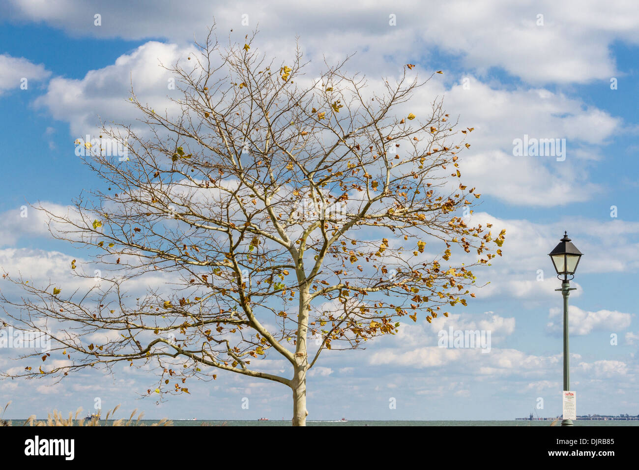 Almost Falling Stock Photos & Almost Falling Stock Images - Alamy