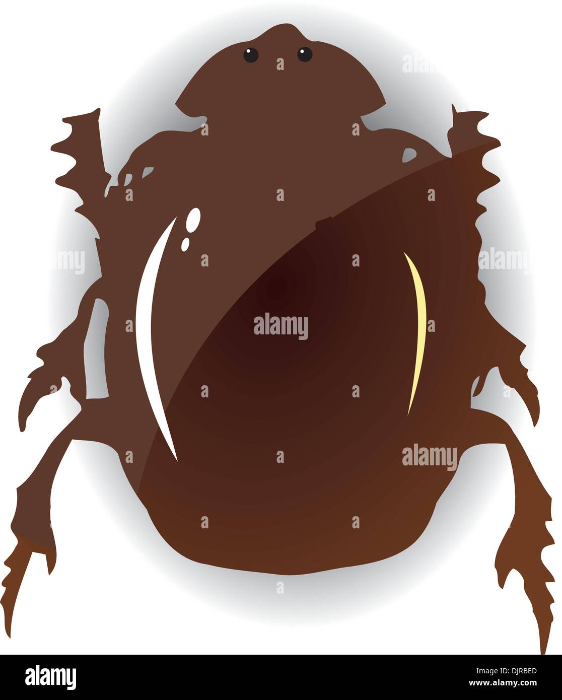 Vector picture of a beetle Stock Vector Image & Art - Alamy