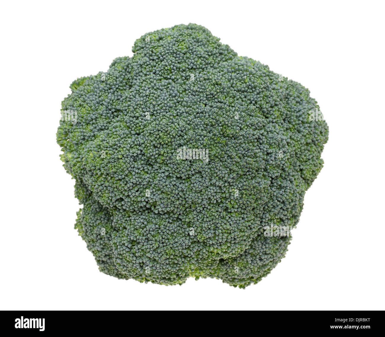 Broccoli plant Cut Out Stock Images & Pictures - Alamy