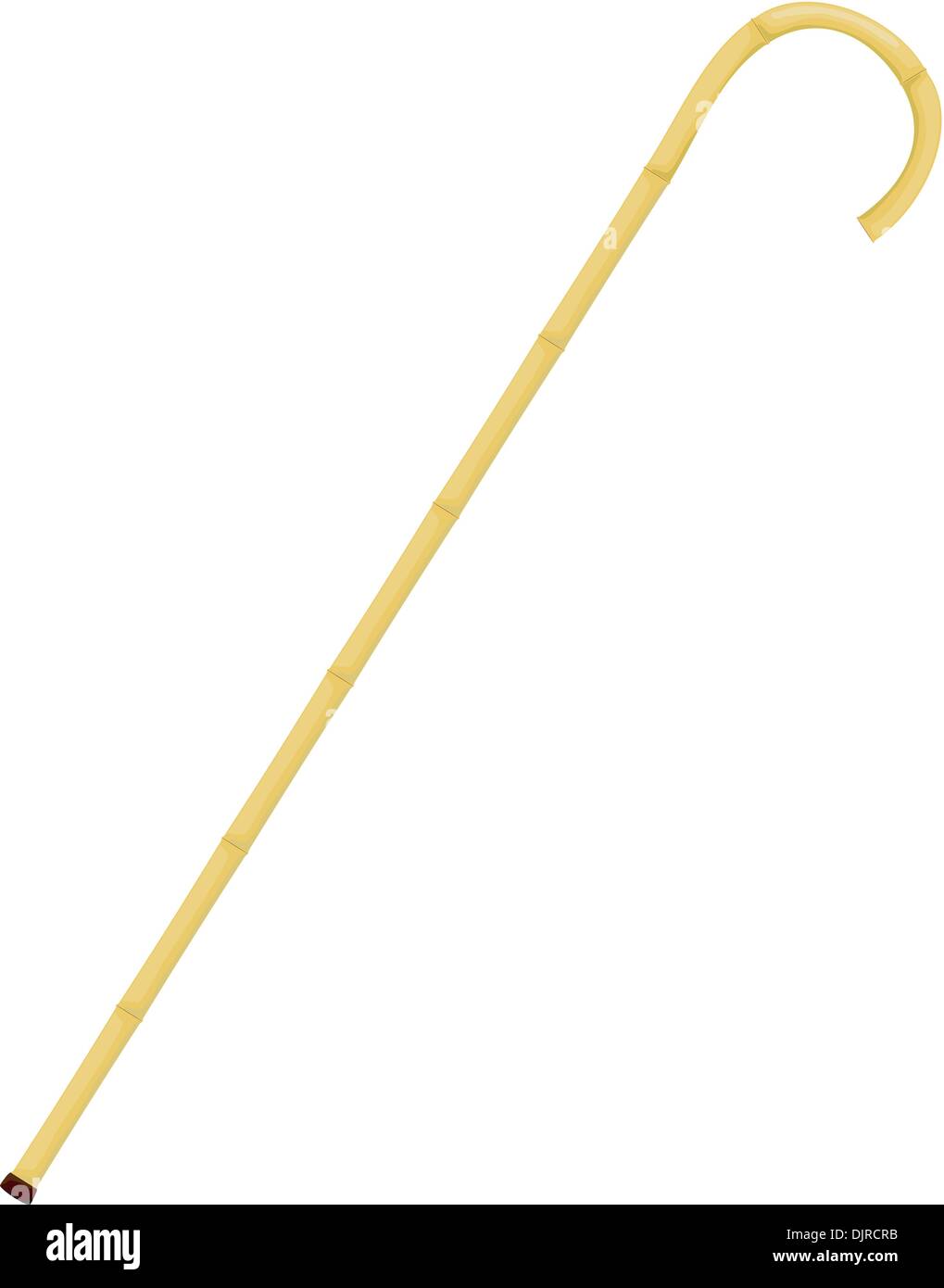 Vector illustration of a bamboo cane Stock Vector Image & Art - Alamy